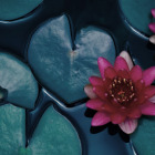 AI Color Correction Tool | Professional Photo Color-Fix Online